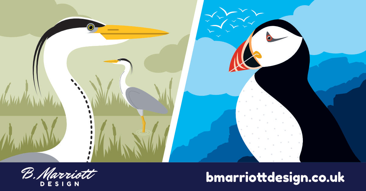 Picture Sizing Guide | B. Marriott Design – B. Marriott Design LTD